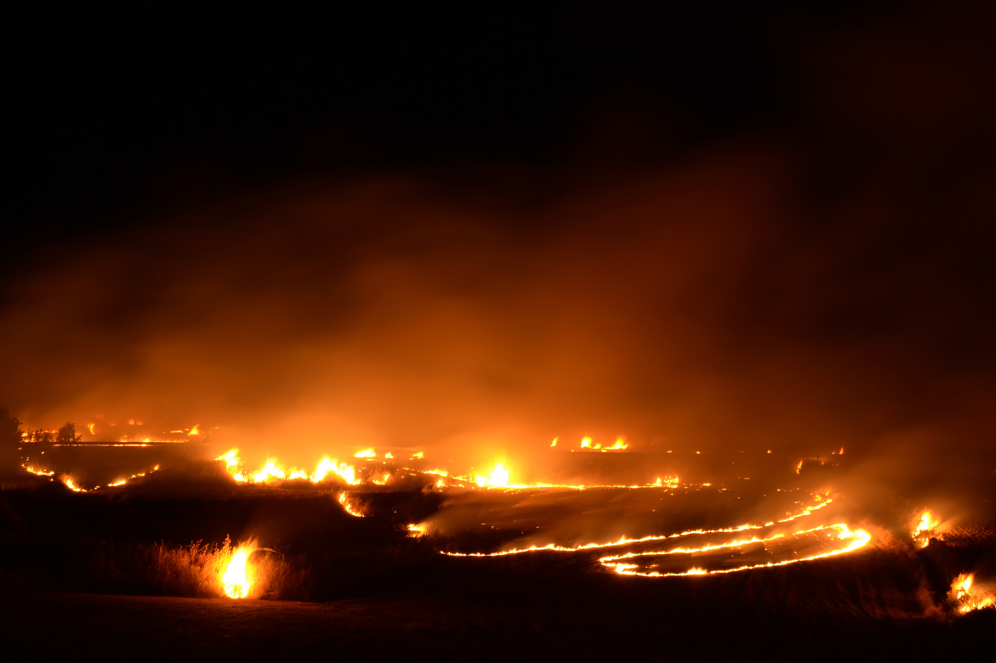 The World Is Burning — Prison Journalism Project