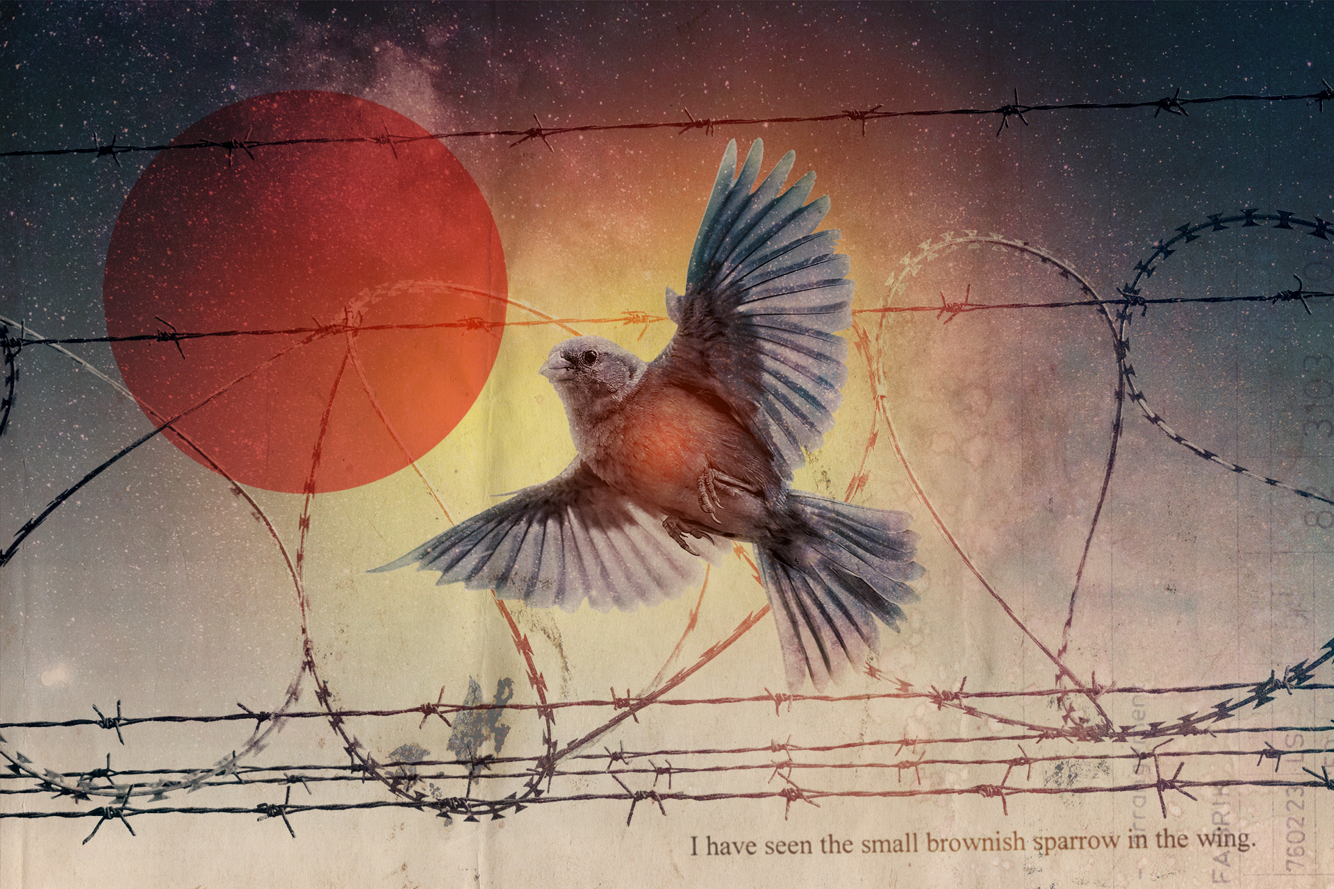 The Bird in the Hole — Prison Journalism Project