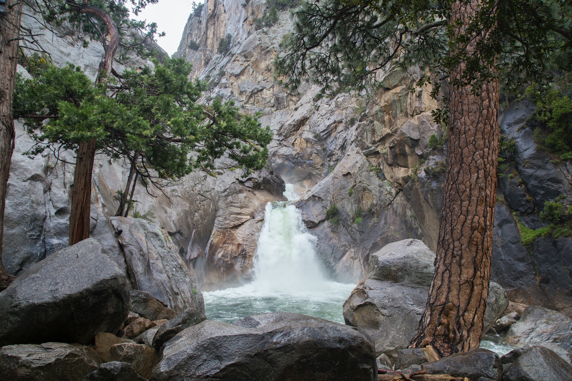 Prison Poem About America: The Rock, the River and the Tree
