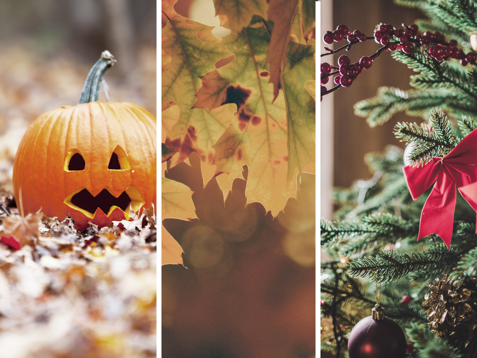 How I Adapted My Holidays Traditions for Prison