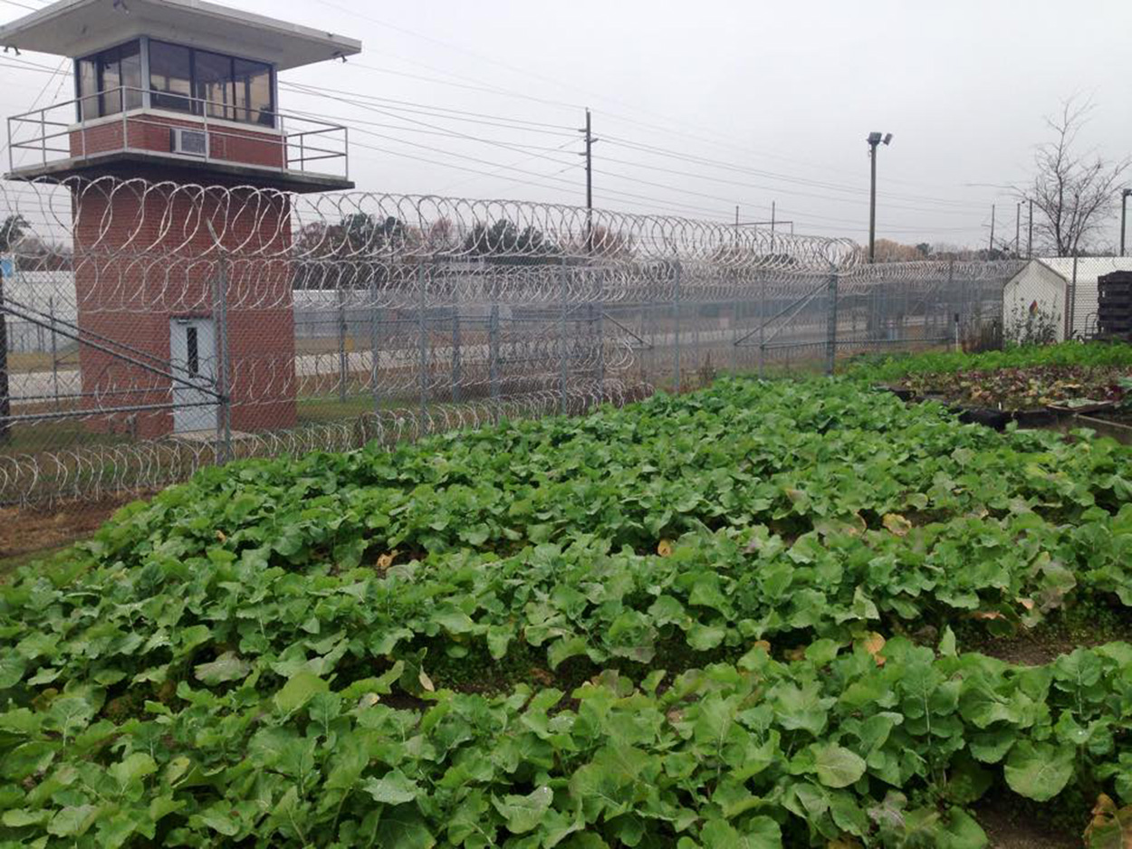 How a Colorado Prison Garden Helps People Grow